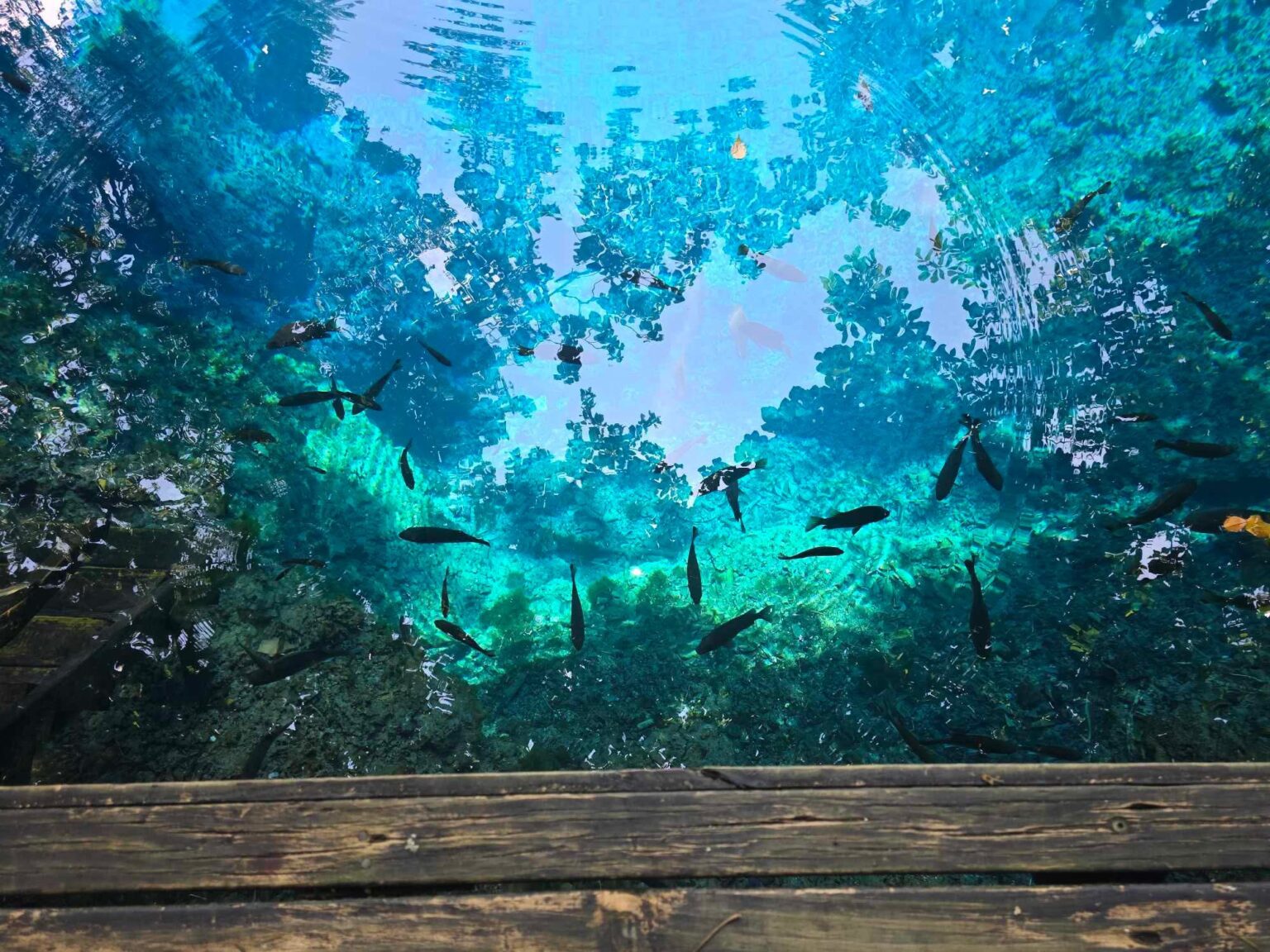 Exclusive Sunrise Itinerary: 7 Unforgettable Experiences